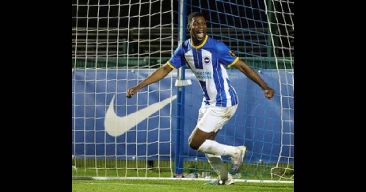 Brighton Defender Odel Offiah Open to Representing Super Eagles