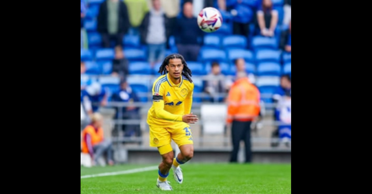 Nigerian Duo Schmidt, Debayo Help Leeds Secure Premier League Promotion ...